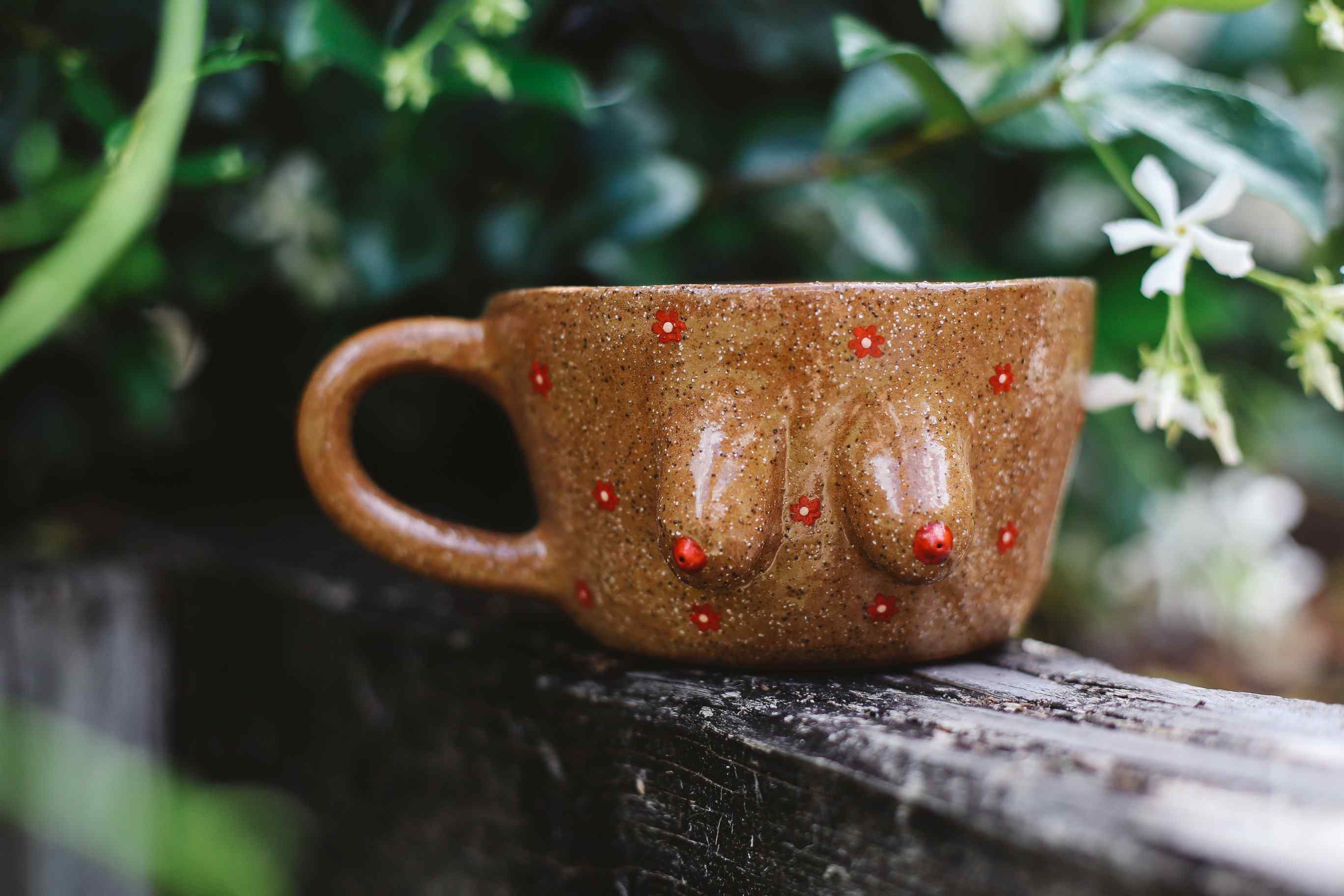 PINKSOY Boob Mugs - Àine & Co.